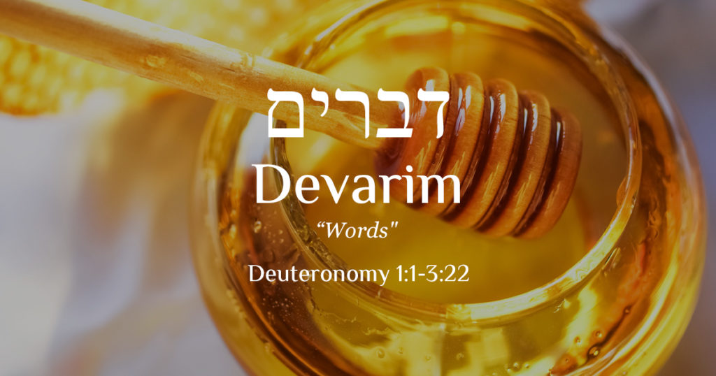 Devarim: Corriger ses erreurs- vidéo - JForum