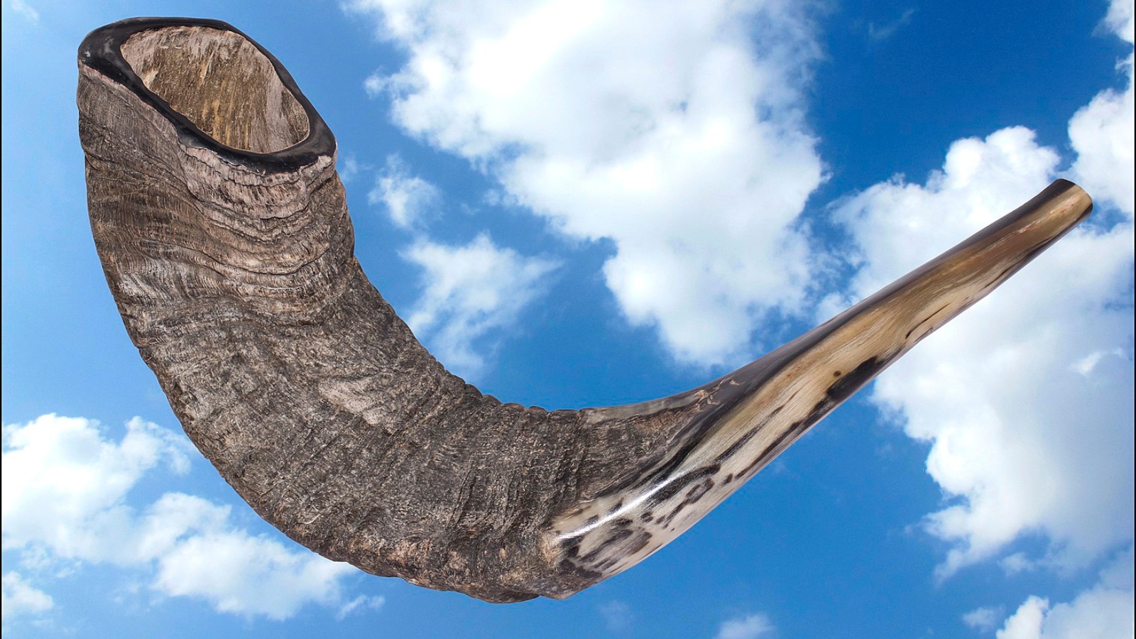 L'histoire inattendue derrière le shofar - JForum