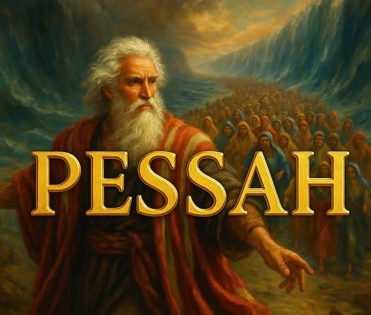 Pessah: Israël peut enfin parler, prier, chanter (vidéo) - JForum